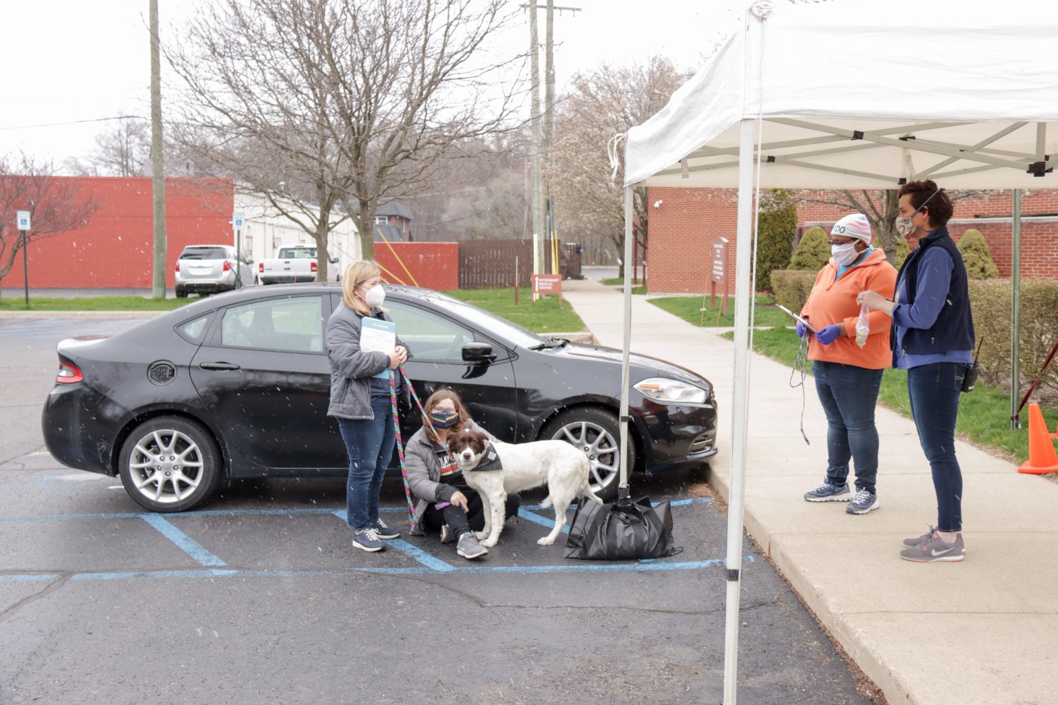 The Michigan Humane Society Adapts To Handle The COVID-19 Situation ...
