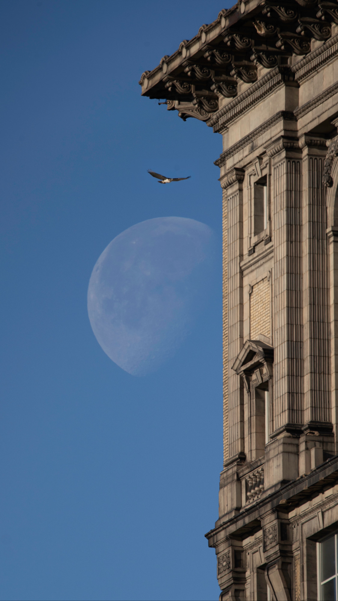 The Beautiful Buck Moon Is Out Tonight, And It Serves As A Conscious ...