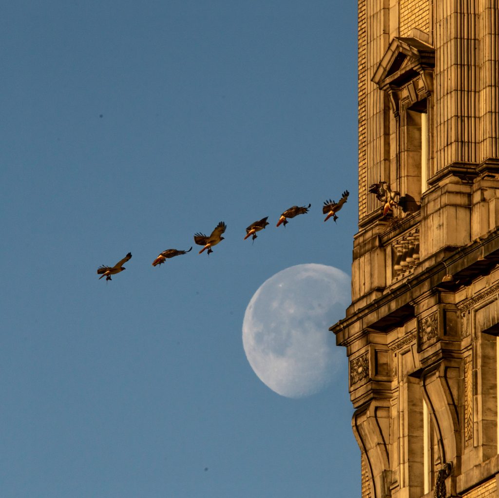 The Beautiful Buck Moon Is Out Tonight, And It Serves As A Conscious ...