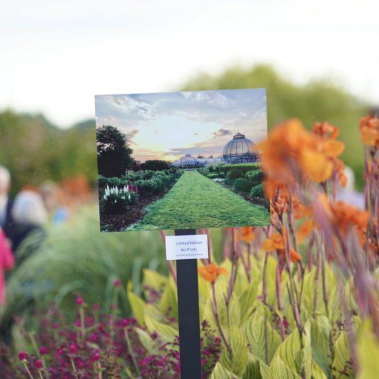 7 Spots To Marvel At Fall Colors In Detroit & Around Michigan | Detroitisit