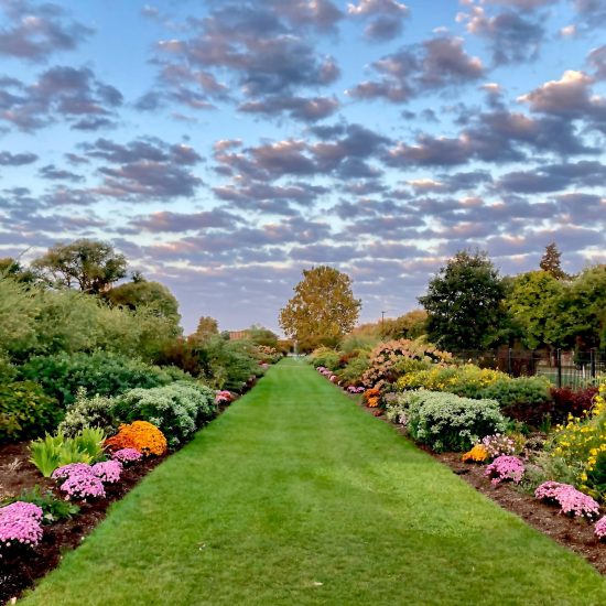 6 Scenic Seasonal Gardens In Detroit That Are Well-loved & Preserved ...