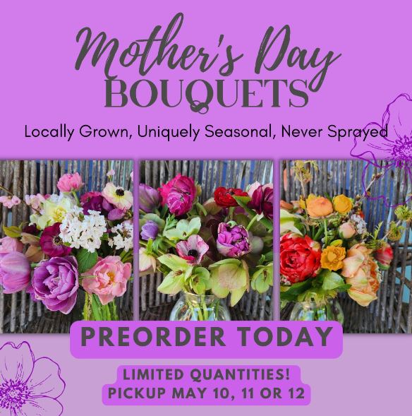 5 Must-Know Urban Farms In Detroit To Shop Now For In-Season Picks ...